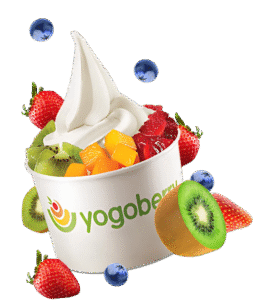 Yogoberry – Original Frozen Yogurt